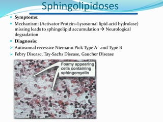 Biochemistry lecture 14 chemistry of lipids 2 | PPTX