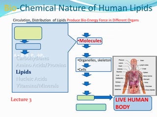 Biochemistry lecture 14 chemistry of lipids 2 | PPTX