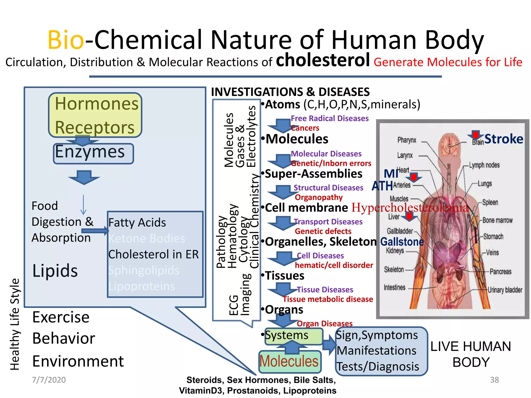 Biochemistry lecture 17 introduction to lipid metabolism with clinical ...