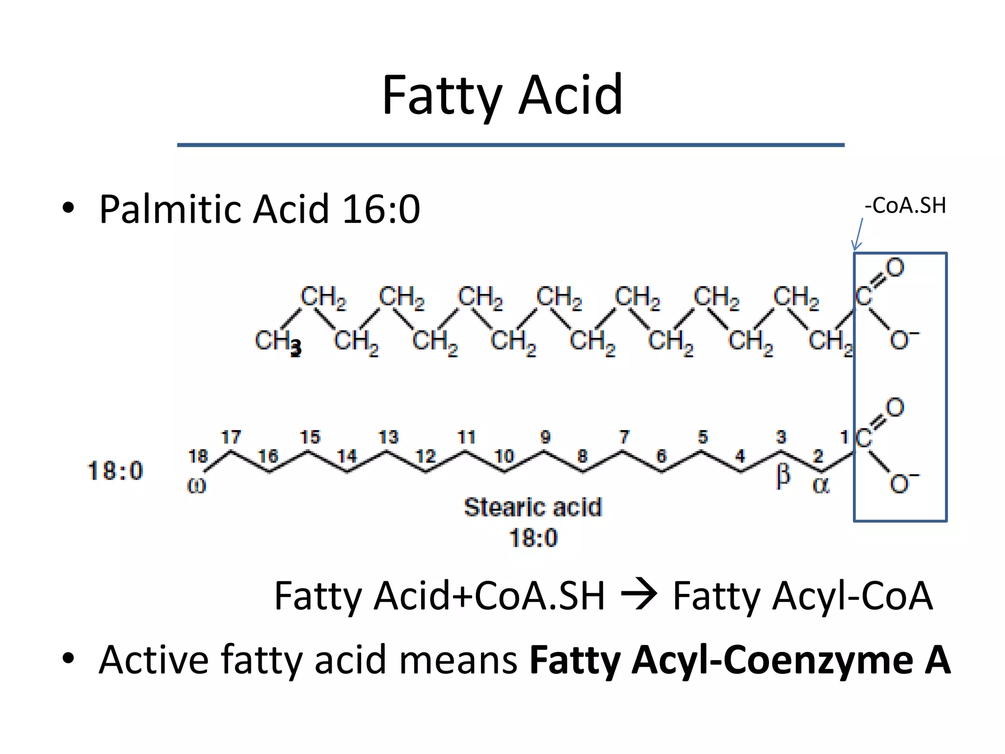 Biochemistry lecture 17 introduction to lipid metabolism with clinical ...