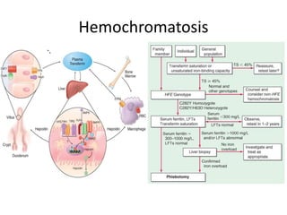 Biochemistry lecture 28 intermediary metabolism, diseases with case ...