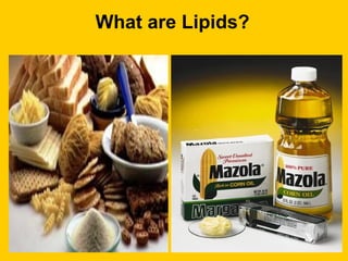 Lipid Examples