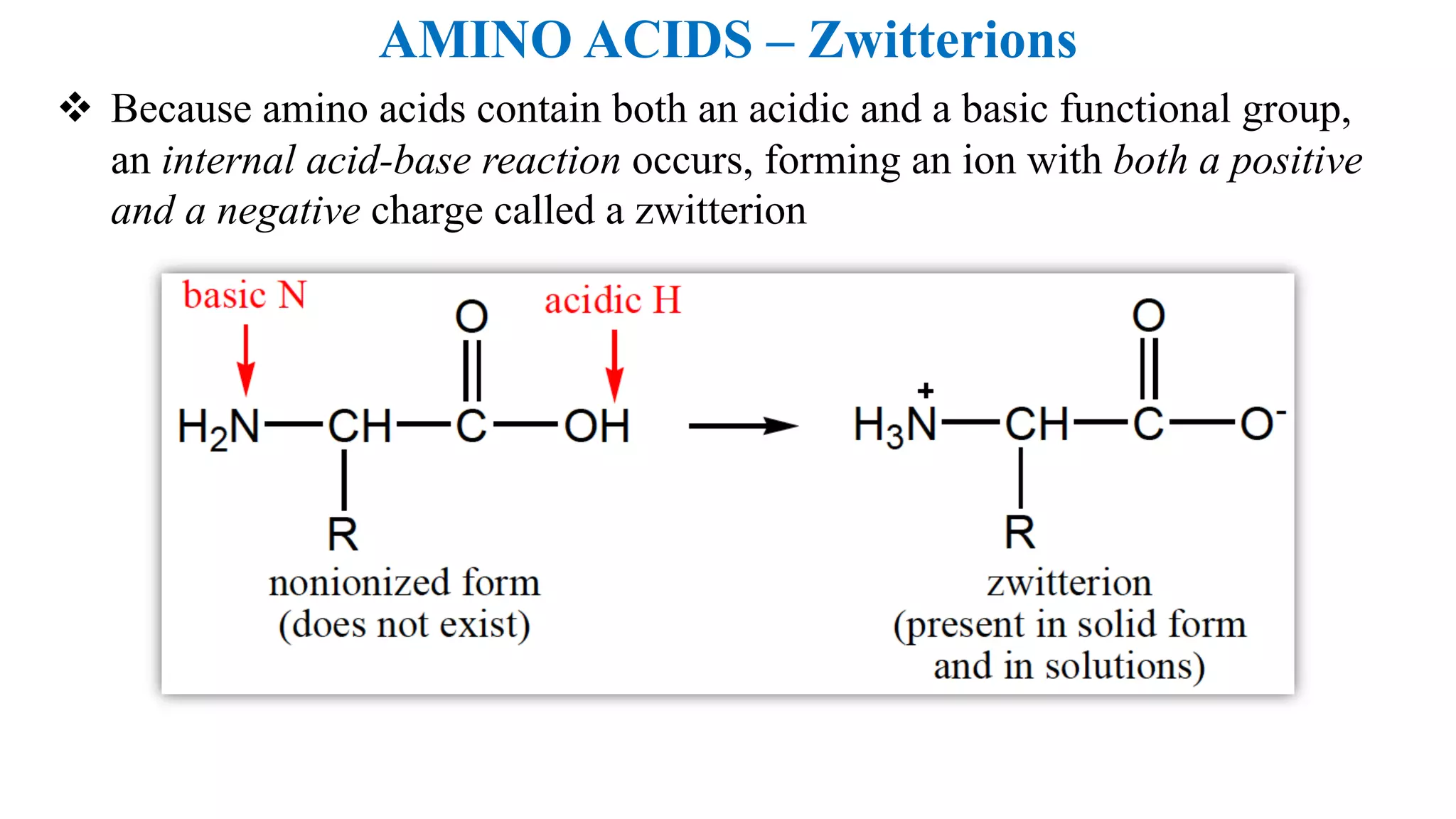 Biochemistry lecture notes aminoacids | PDF