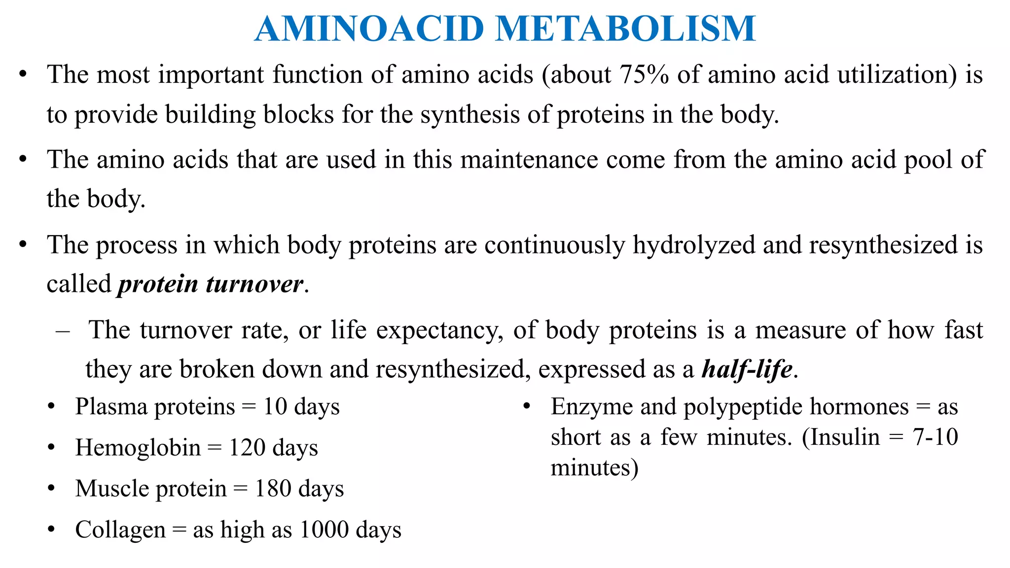 Biochemistry lecture notes amino acids metabolism | PDF