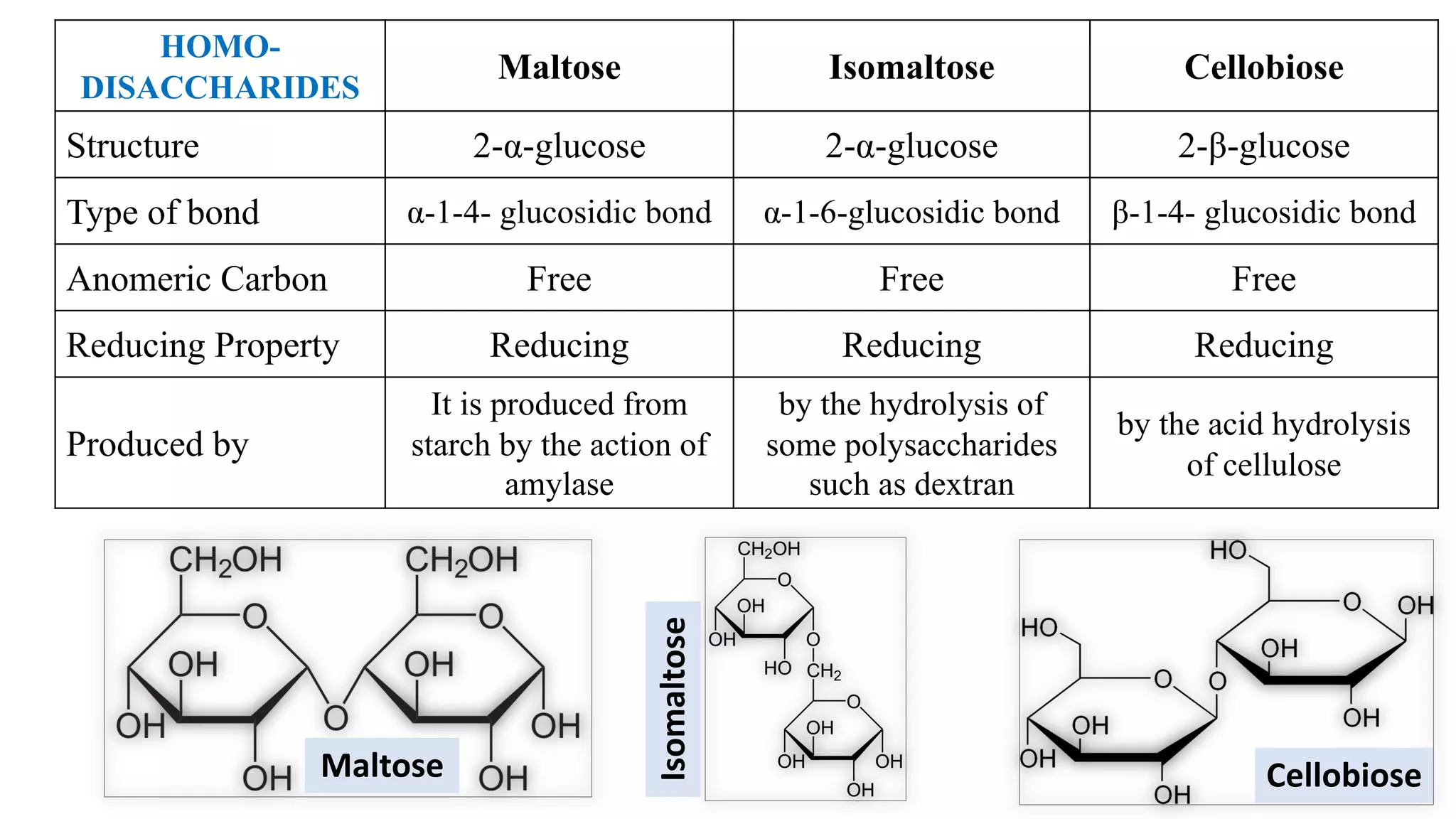 Biochemistry lecture notes carbohydrates | PDF