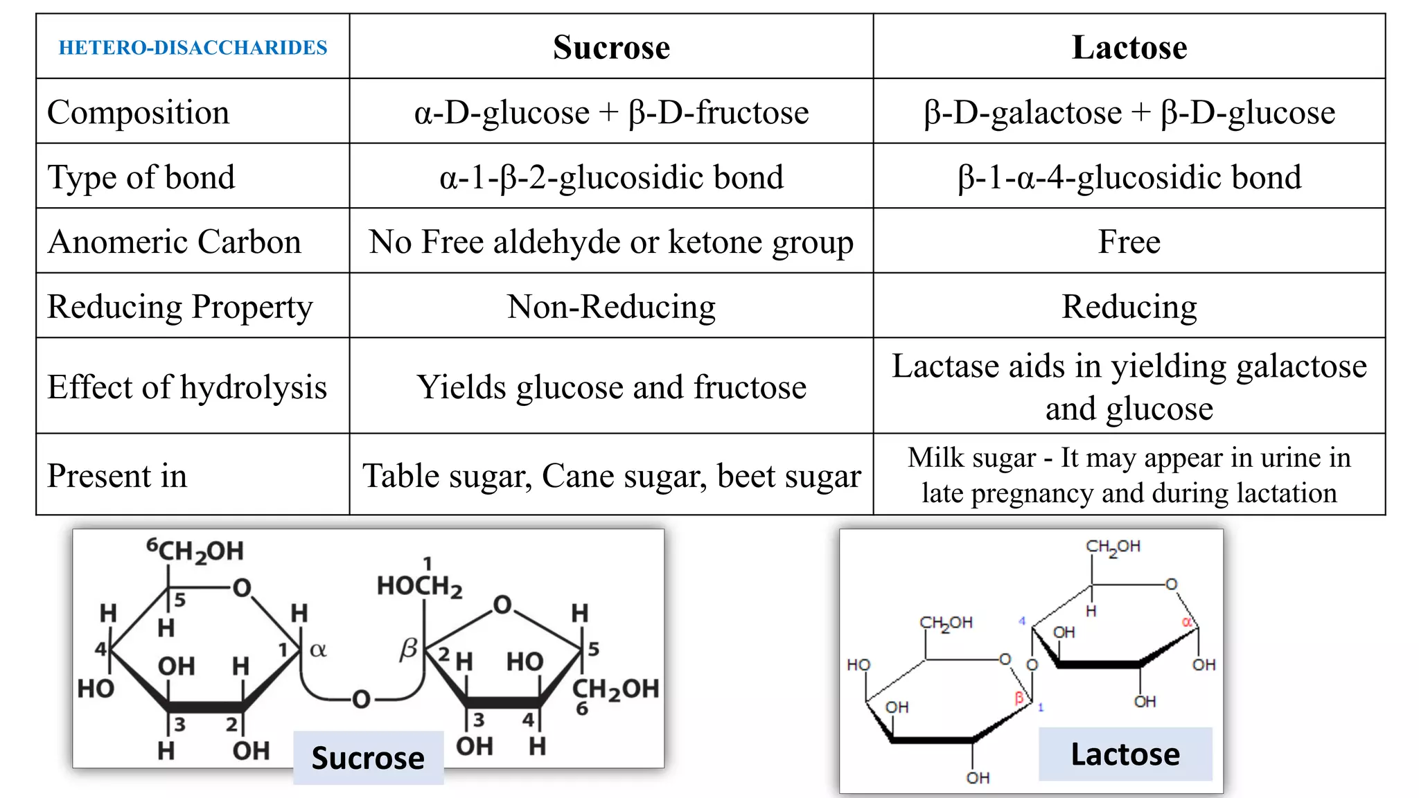 Biochemistry lecture notes carbohydrates | PDF