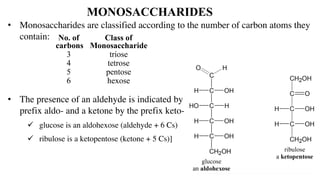 Biochemistry lecture notes carbohydrates | PDF
