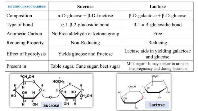 Biochemistry lecture notes carbohydrates | PDF | Chemistry | Science