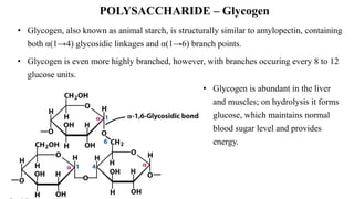 Biochemistry lecture notes carbohydrates | PDF