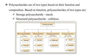 Biochemistry lecture notes carbohydrates | PDF