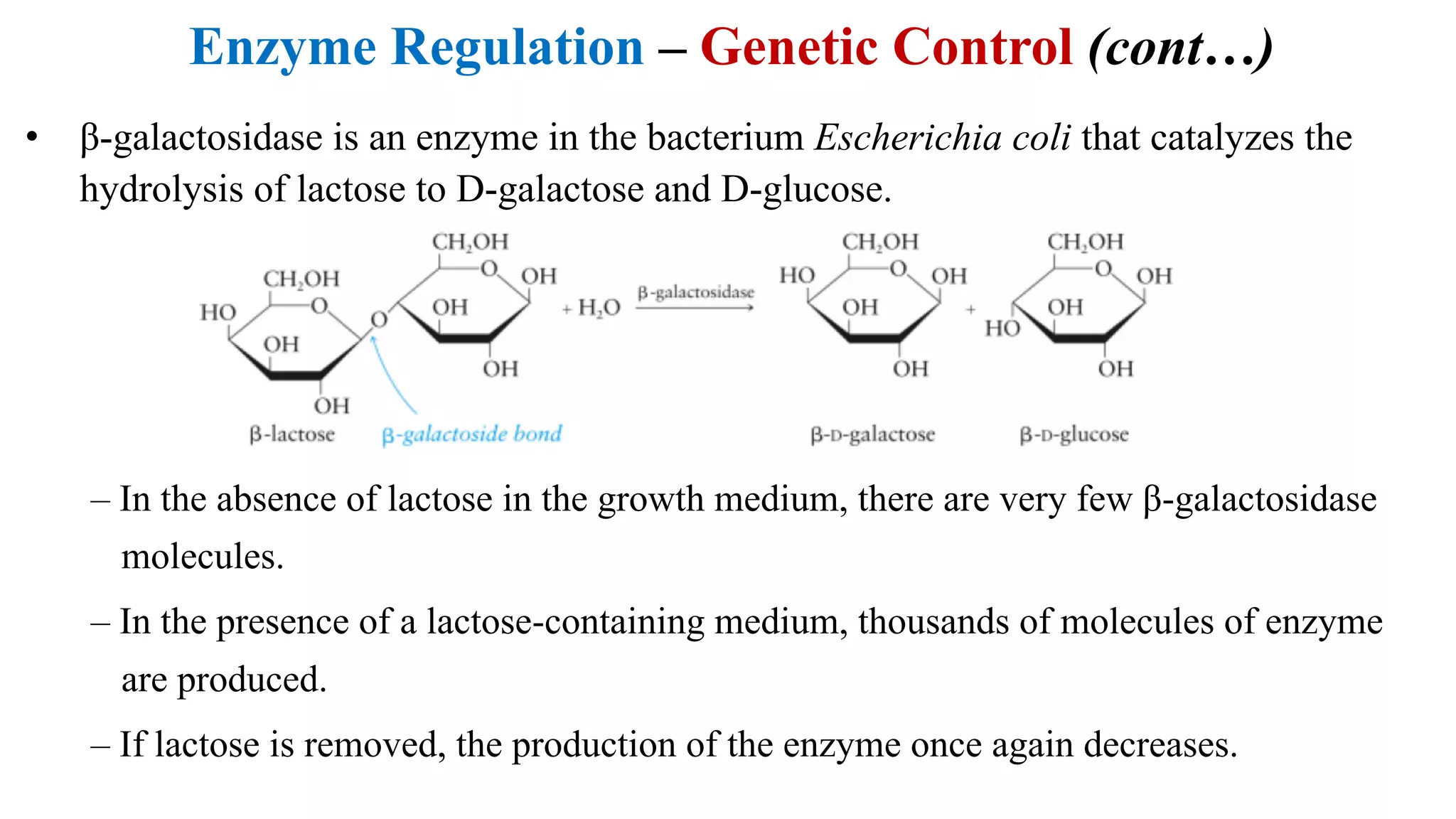 Biochemistry lecture notes enzymes | PDF