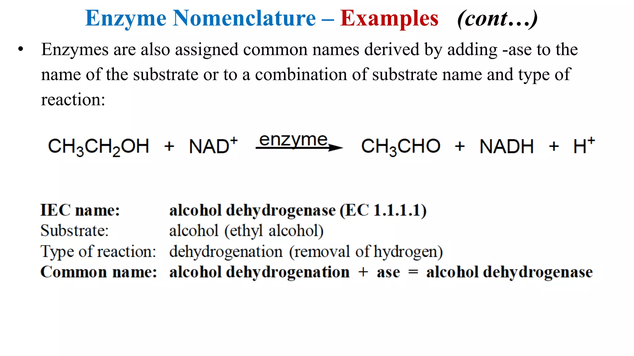 Biochemistry lecture notes enzymes | PDF