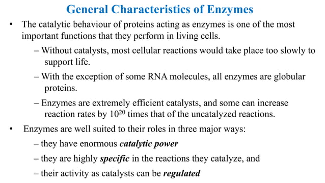 Biochemistry lecture notes enzymes | PDF | Chemistry | Science