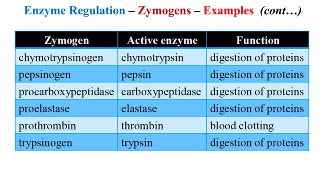 Biochemistry lecture notes enzymes | PDF | Chemistry | Science