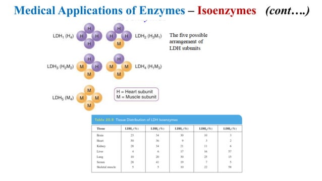 Biochemistry lecture notes enzymes | PDF | Chemistry | Science