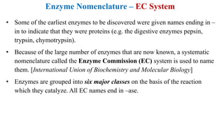 Biochemistry lecture notes enzymes | PDF