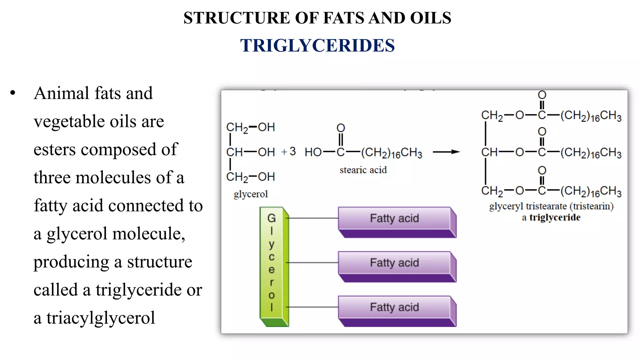 Biochemistry lecture notes lipids | PDF