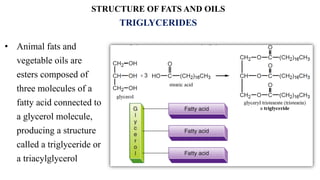 Biochemistry lecture notes lipids | PDF