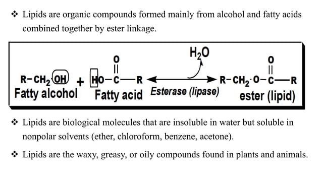 Biochemistry lecture notes lipids | PDF