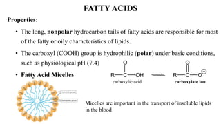 Biochemistry lecture notes lipids | PDF