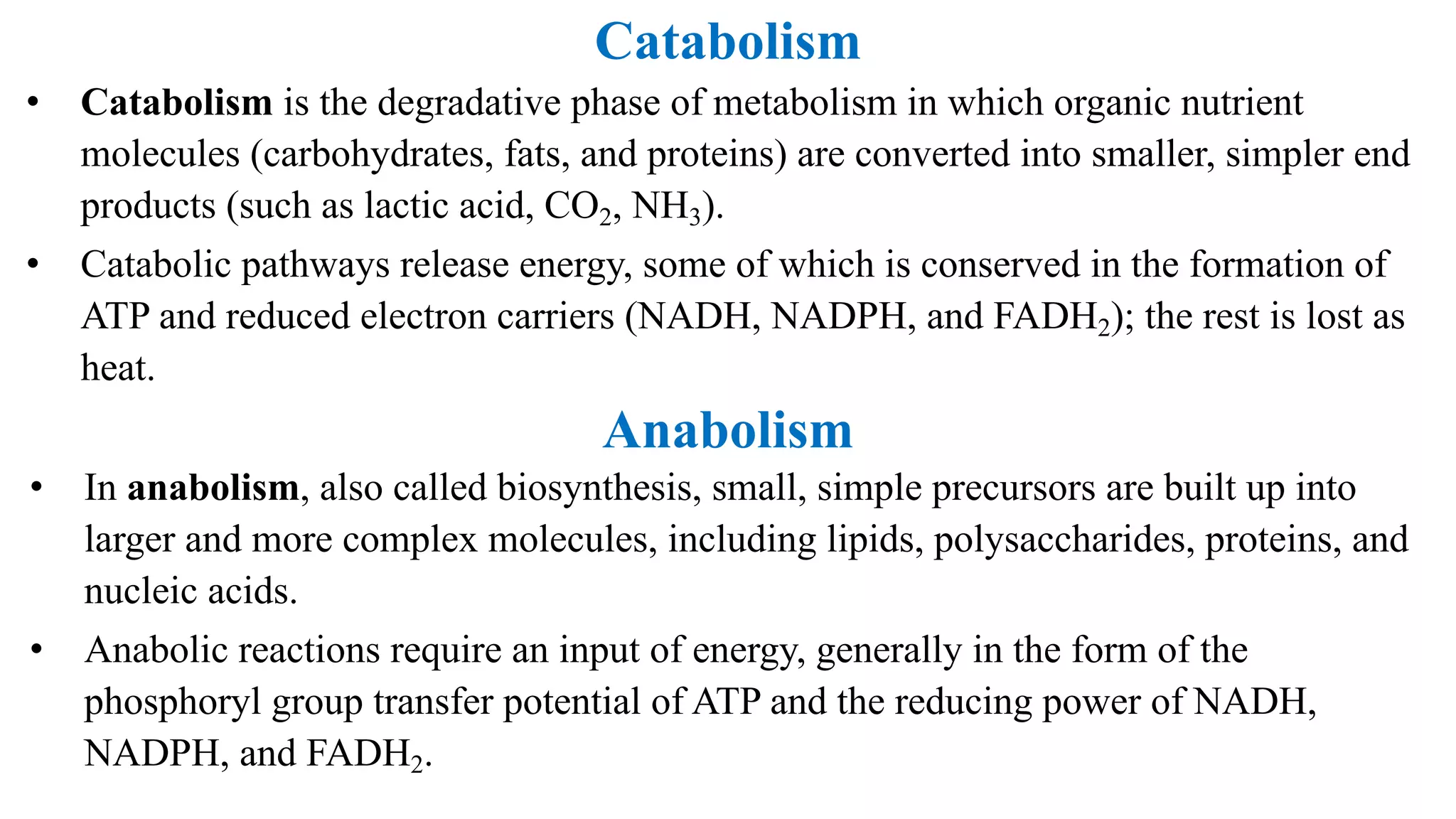Biochemistry lecture notes metabolism_glycolysis & pentose phosphate ...