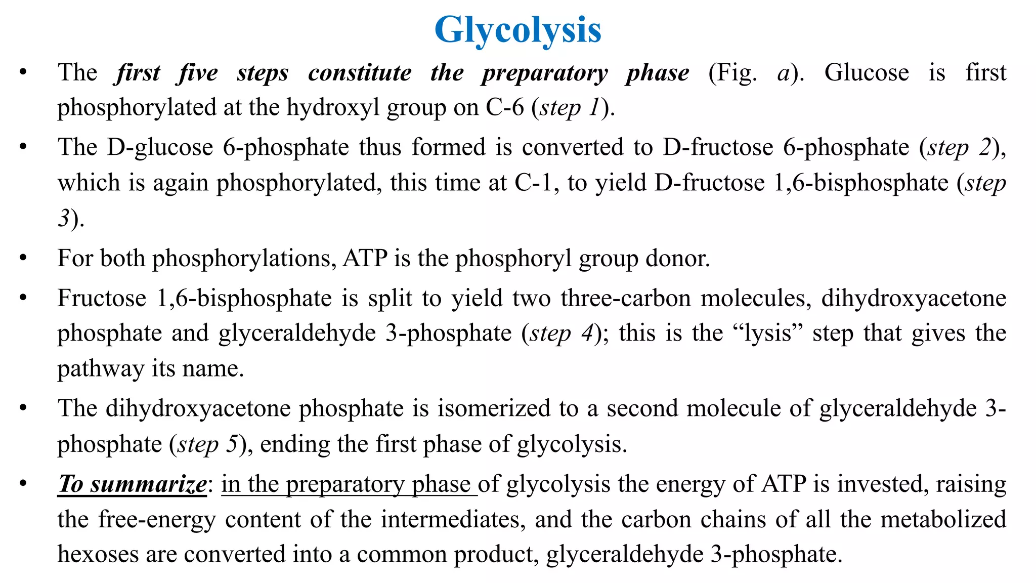 Biochemistry lecture notes metabolism_glycolysis & pentose phosphate ...