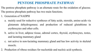 Biochemistry lecture notes metabolism_glycolysis & pentose phosphate ...