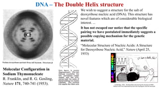 Biochemistry lecture notes nucleic acids | PDF