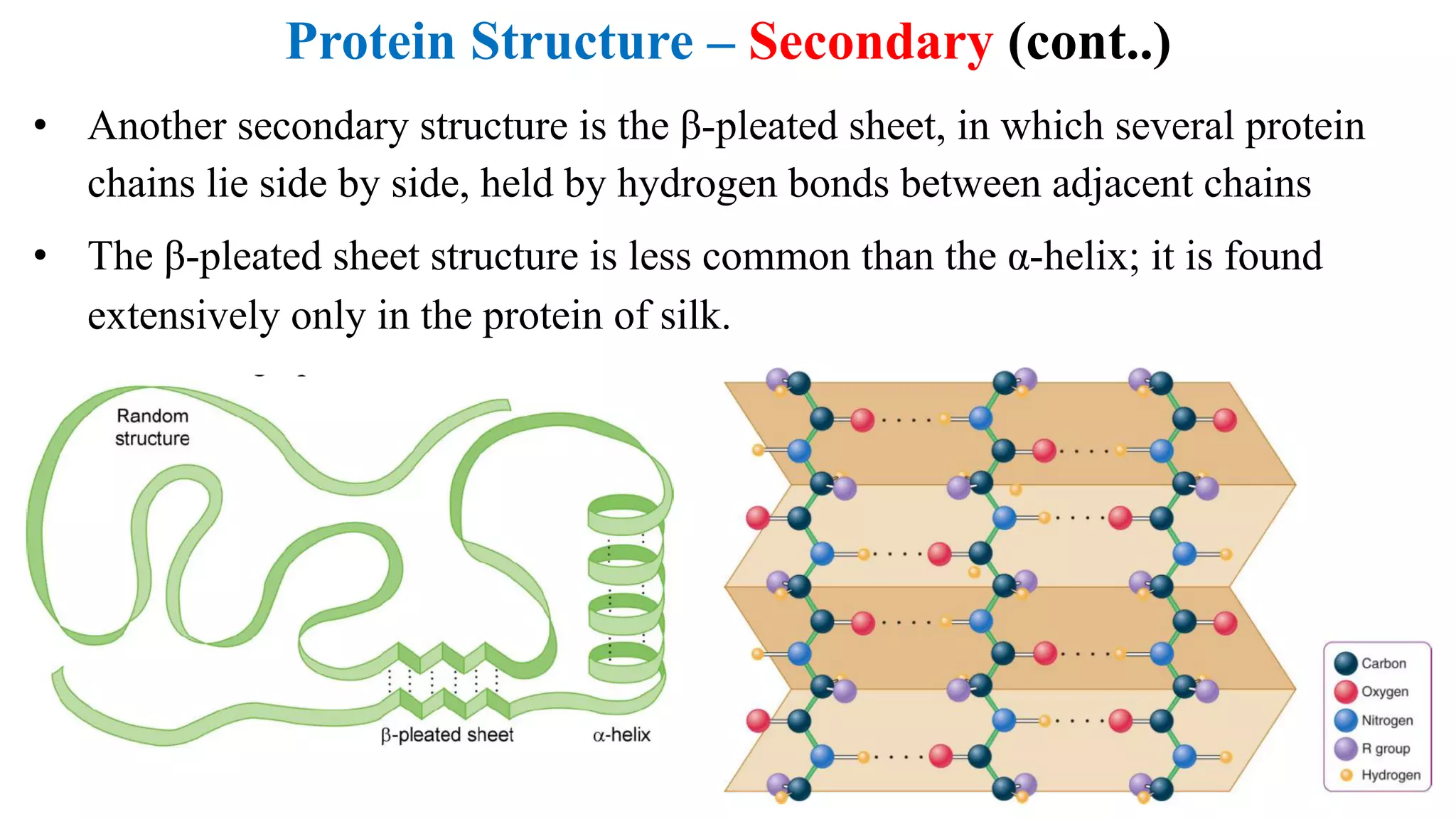 Biochemistry lecture notes proteins | PDF