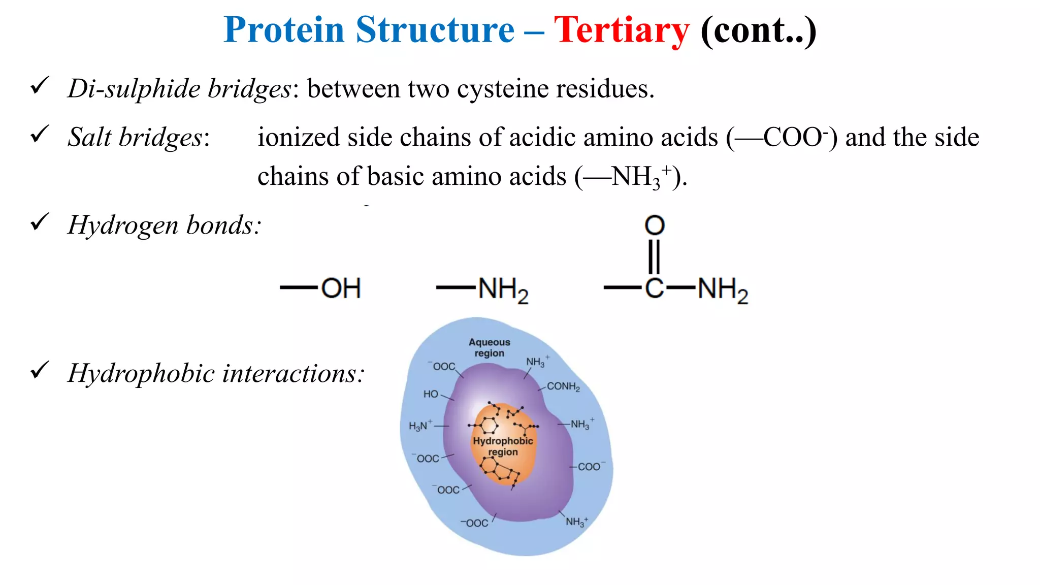 Biochemistry lecture notes proteins | PDF
