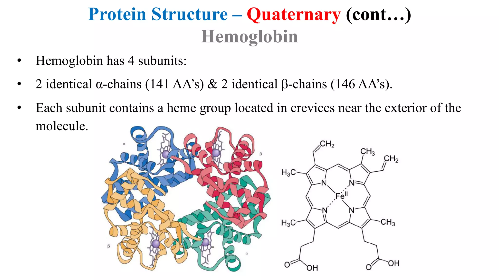 Biochemistry lecture notes proteins | PDF | Chemistry | Science