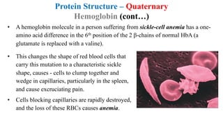 Biochemistry lecture notes proteins | PDF