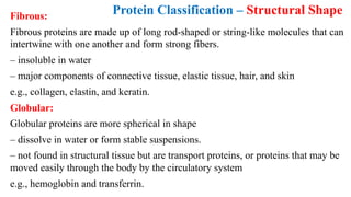 Biochemistry lecture notes proteins | PDF