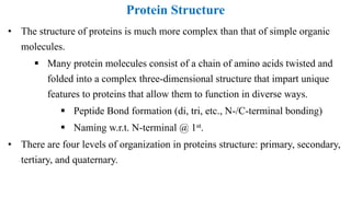 Biochemistry lecture notes proteins | PDF