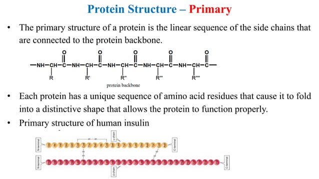 Biochemistry lecture notes proteins | PDF | Chemistry | Science