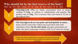 Metabolism of Lipids | PDF