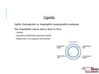 biochemistry lipids lecture for students pptx | PPTX