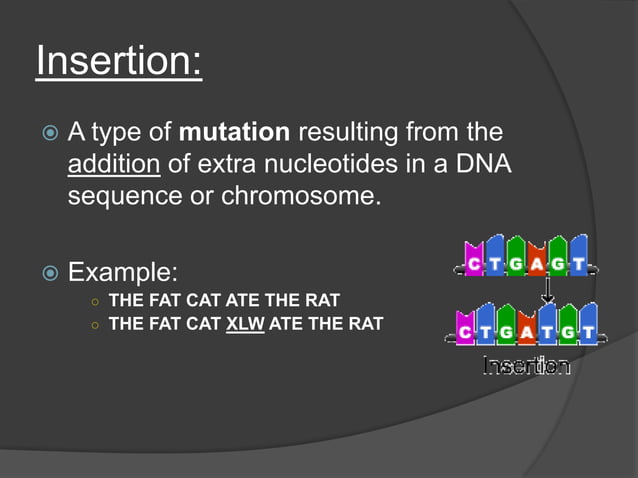 Genetic mutations and types | PPTX | Genetics | Science