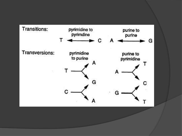 Genetic mutations and types | PPTX | Genetics | Science
