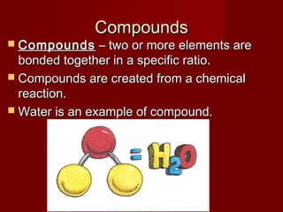 Biochemistry Notes | PPT