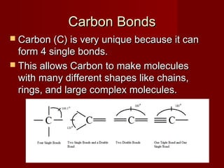 Biochemistry Notes | PPT