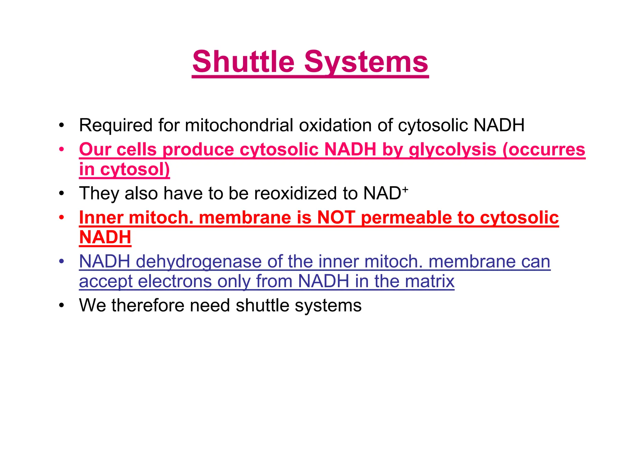 bIOCHEMISTRY electron transport chain energy pathway | PDF