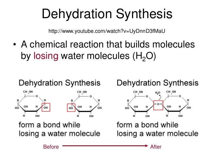 Biochemistry notes students