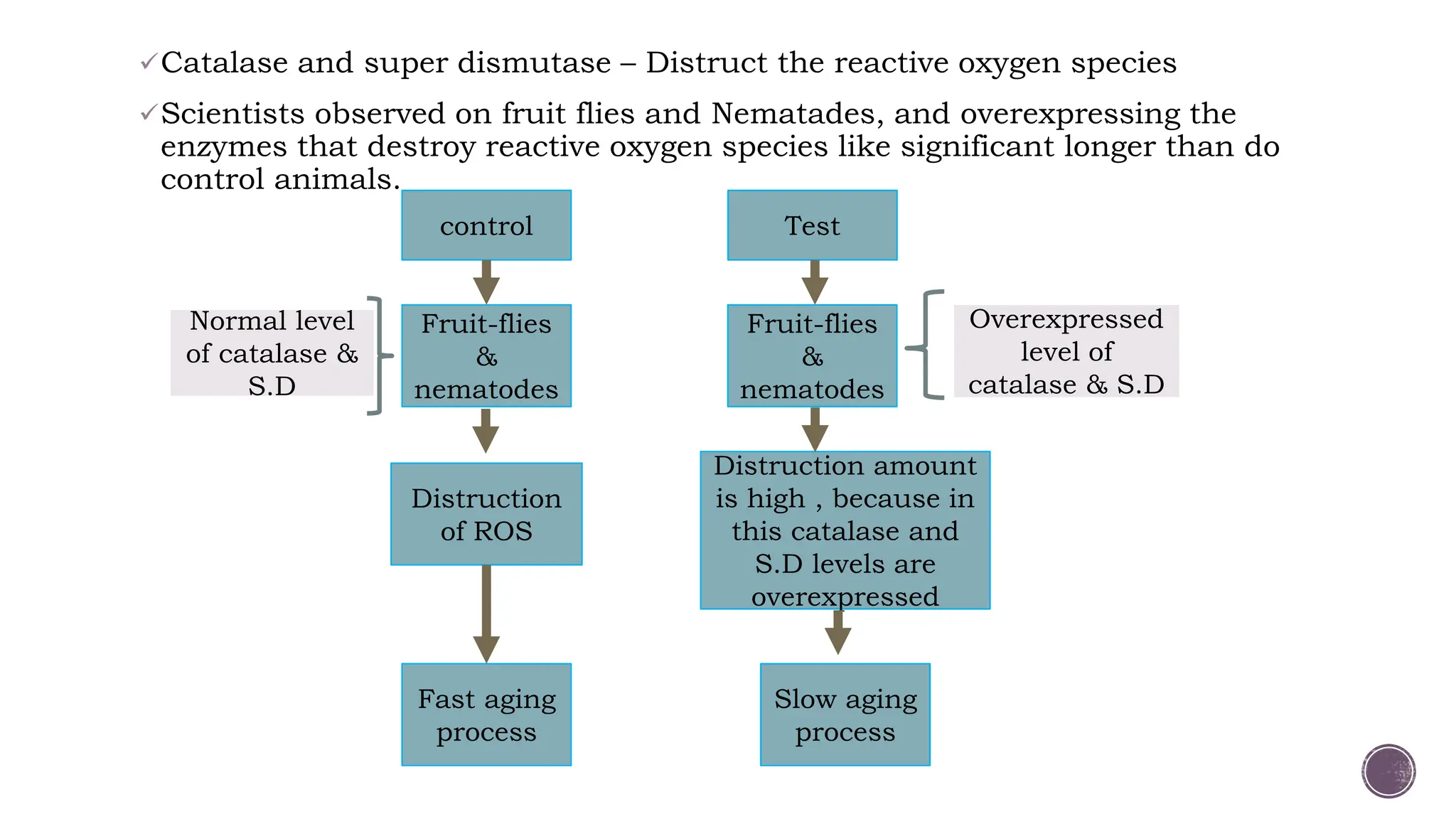 BIOCHEMISTRY OF AGING ppt [Autosaved].pptx