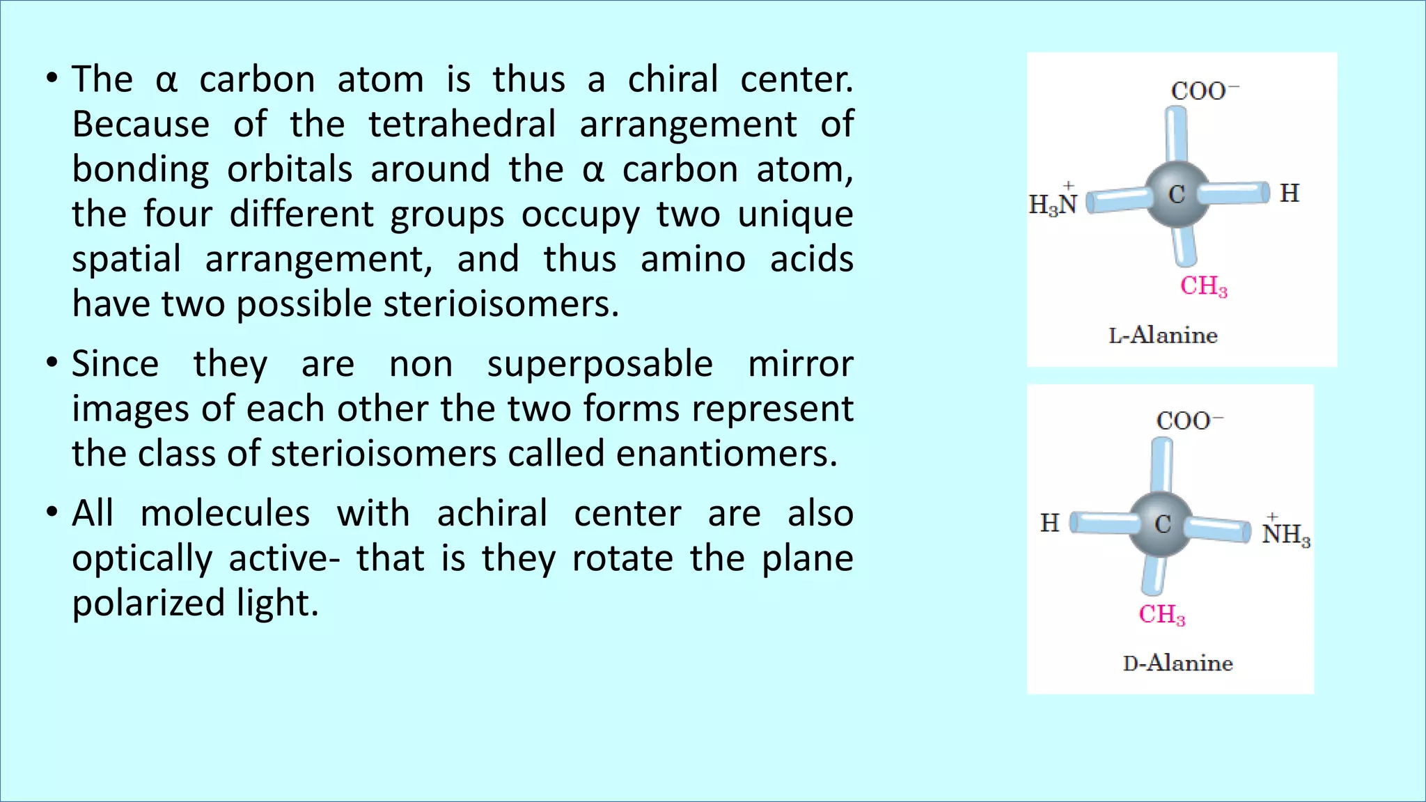 Biochemistry of amino acids | PDF