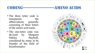 Biochemistry of amino acids | PDF