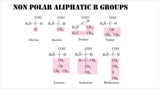 Biochemistry of amino acids | PDF
