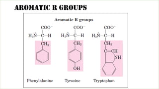 Biochemistry of amino acids | PDF