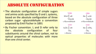 Biochemistry of amino acids | PDF