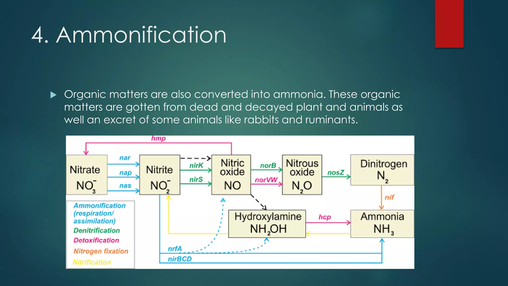 Biochemistry of biological nitrogen fixation | PDF